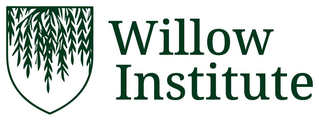 Willow Institute, instituto de inglés en Lanús Este